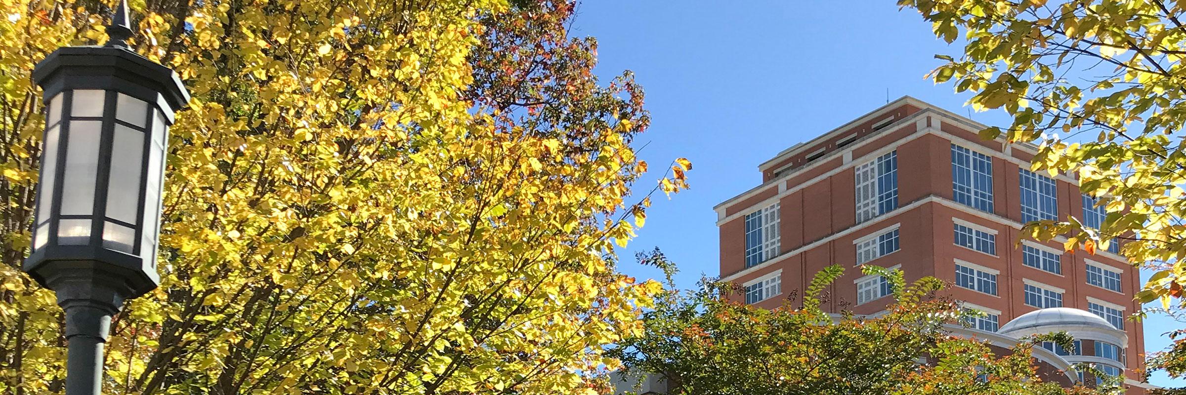 About | J. Murrey Atkins Library